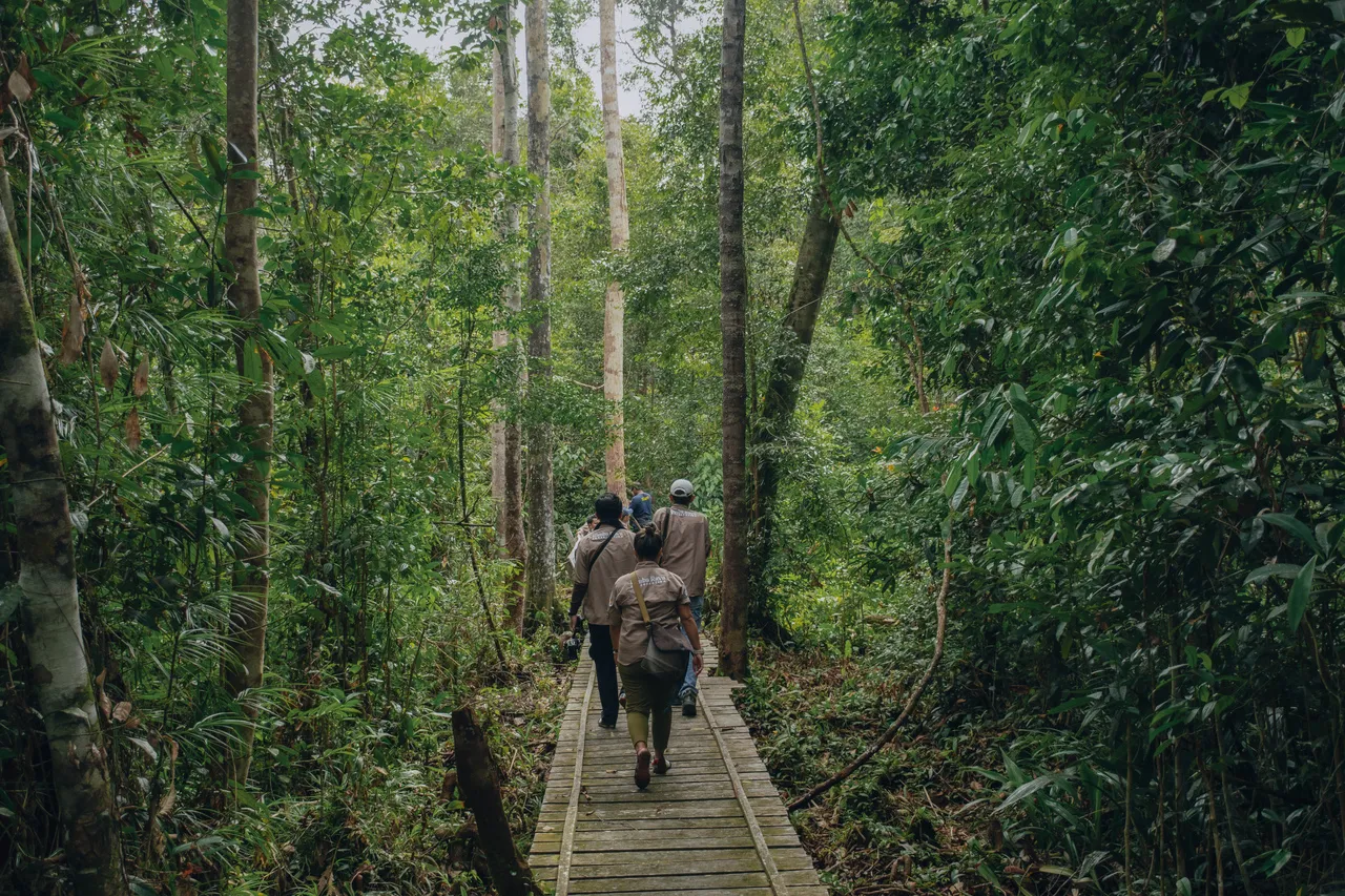 Rimba Raya Conservation