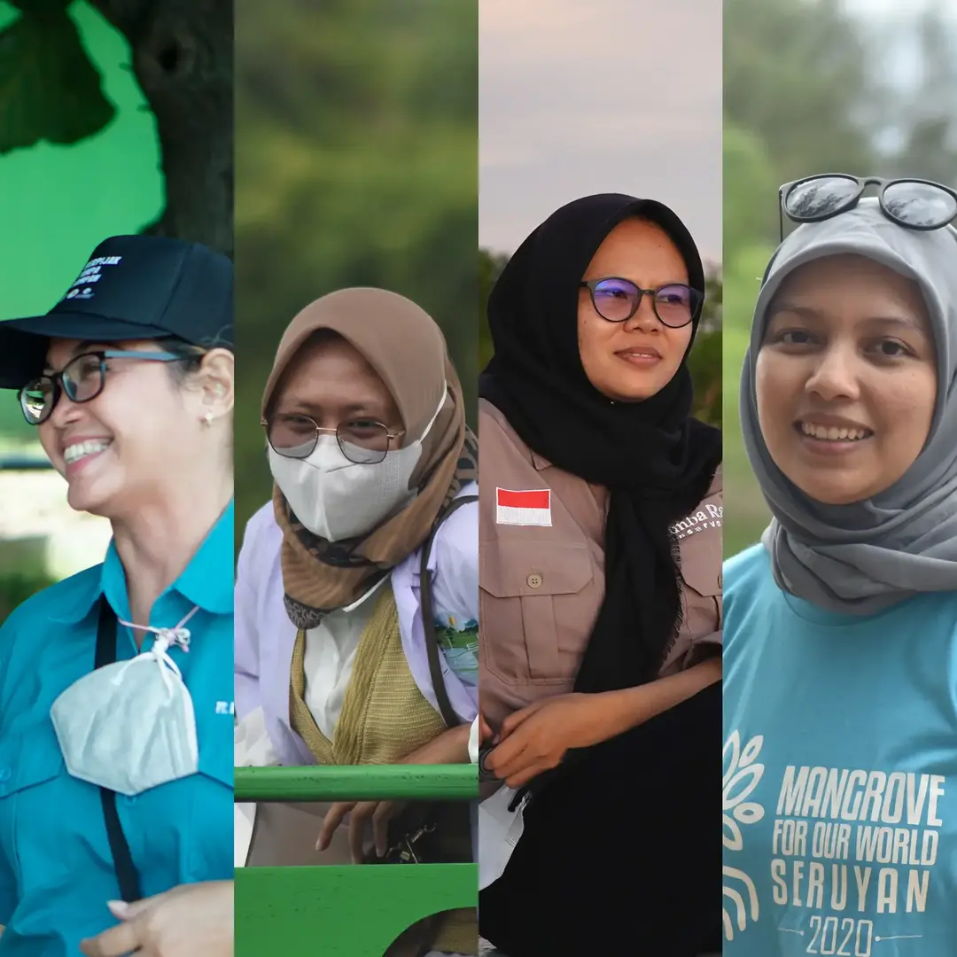 Rimba Raya Conservation