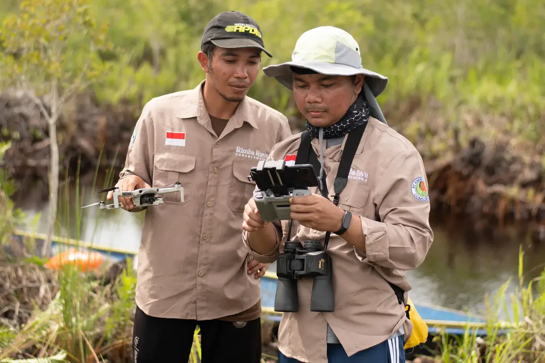 Rimba Raya Conservation